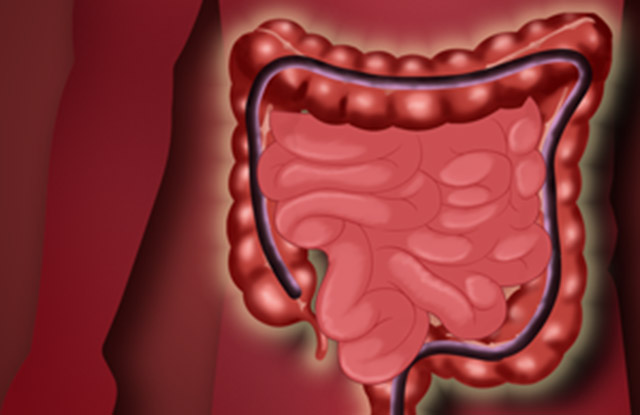 Gut care – Gastro & Liver clinic